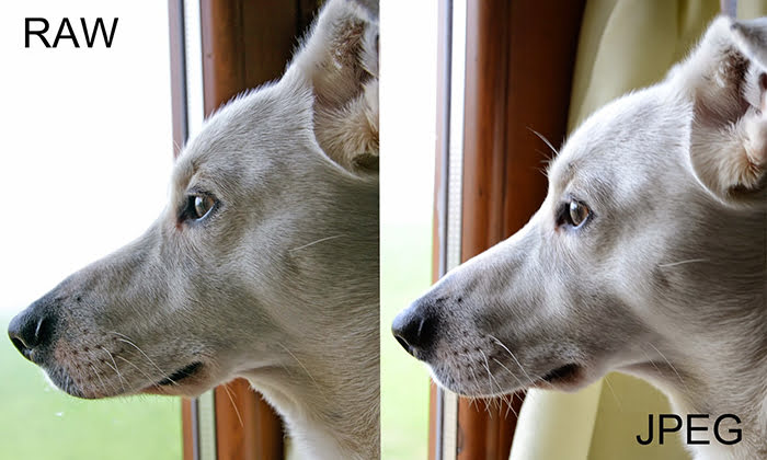 Motivos por los que usar el formato RAW de vuestras cámaras