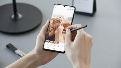 La Regla 34 en Internet: ¿Sabes qué es y cuál es su origen?